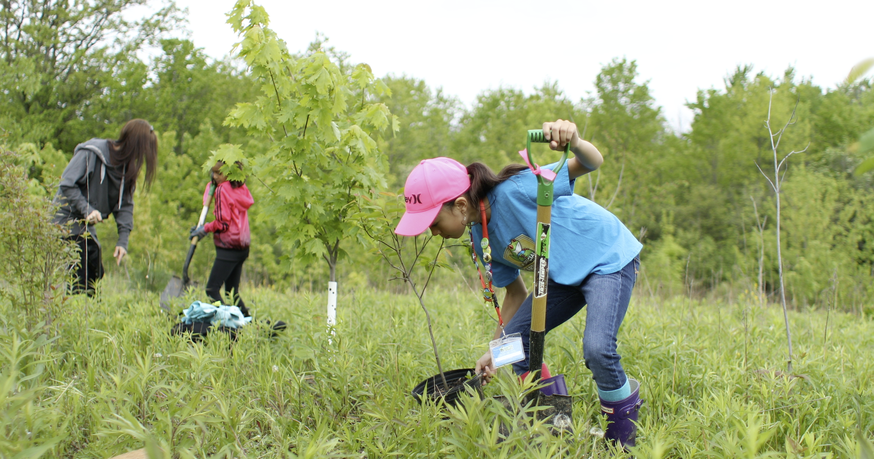 The Earth Rangers App | Clean50