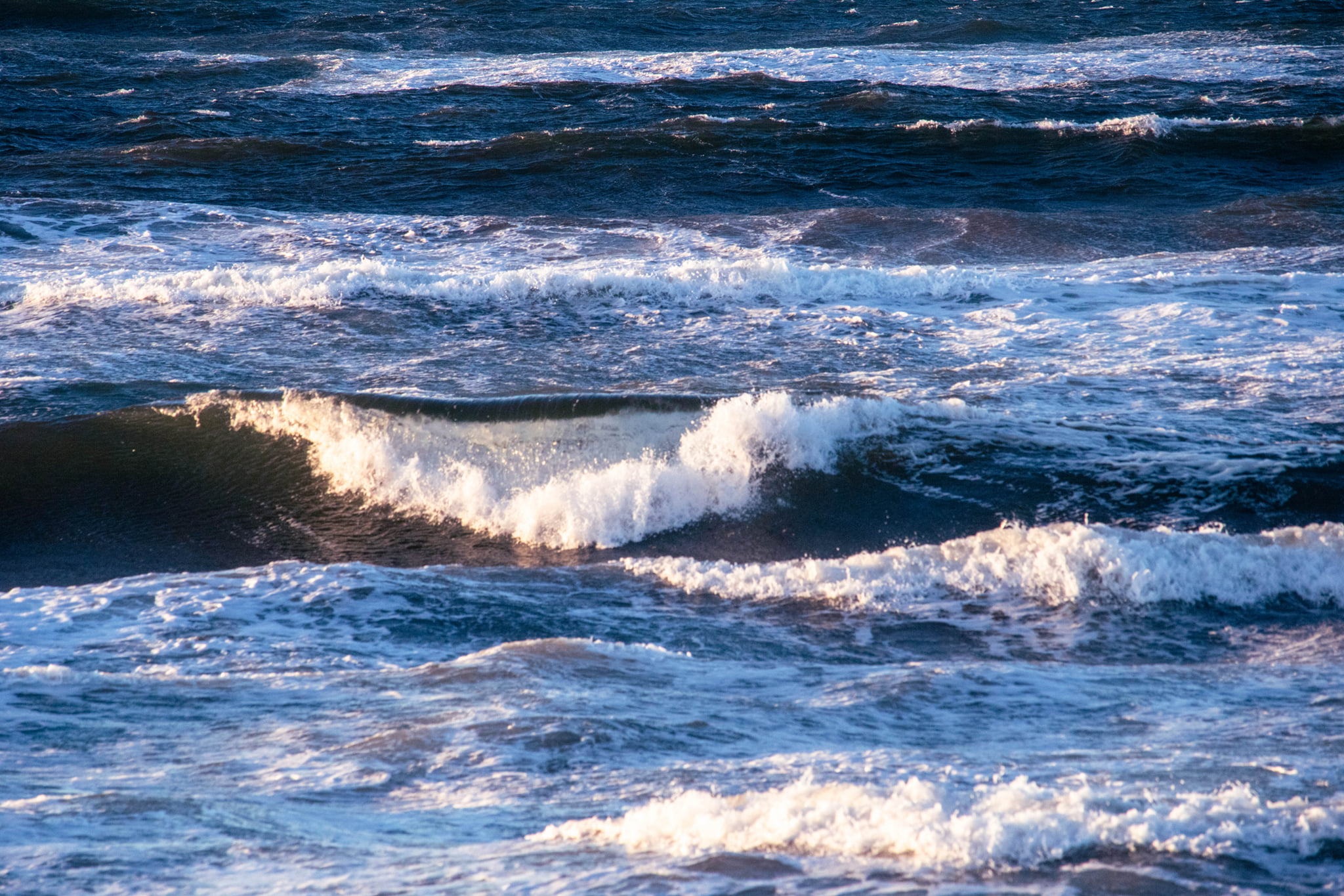 Sustainable Ocean Growth is One of the Greatest Opportunities of our ...