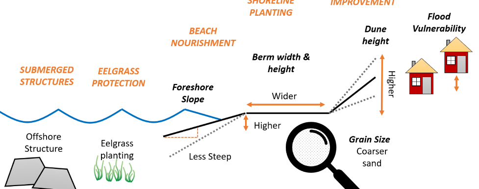 Leveraging Natural Assets for Coastal Resilience | Clean50