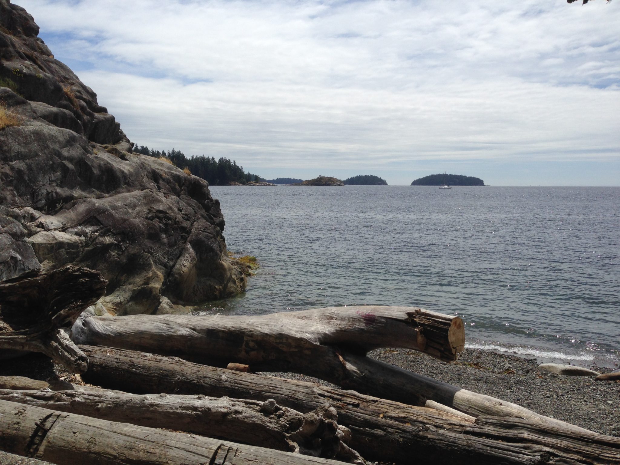 Leveraging Natural Assets for Coastal Resilience | Clean50