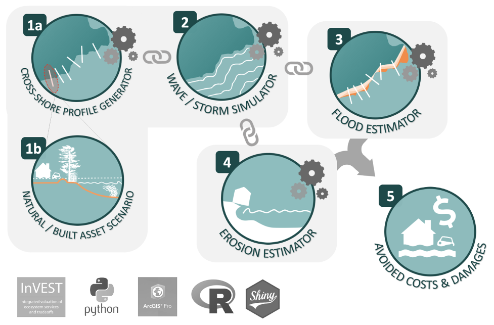 Leveraging Natural Assets for Coastal Resilience | Clean50