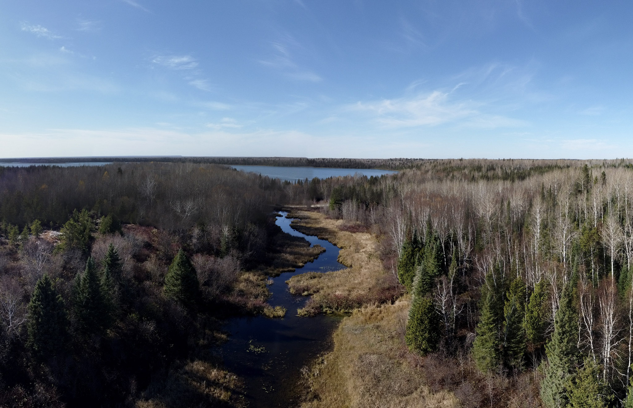 Protecting Boreal Wildlands | Clean50