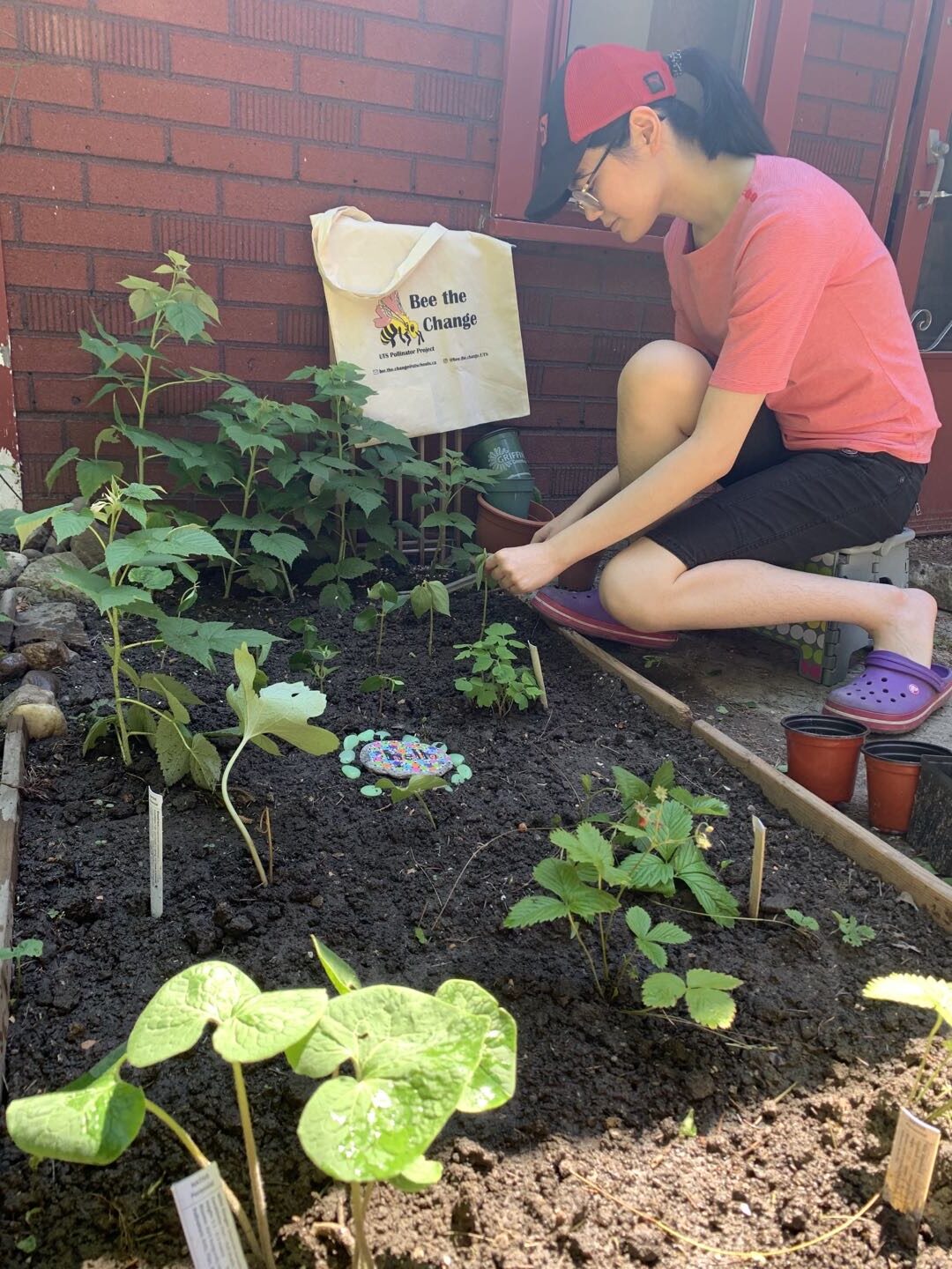 “Bee the Change” Pollinator Project | Clean50