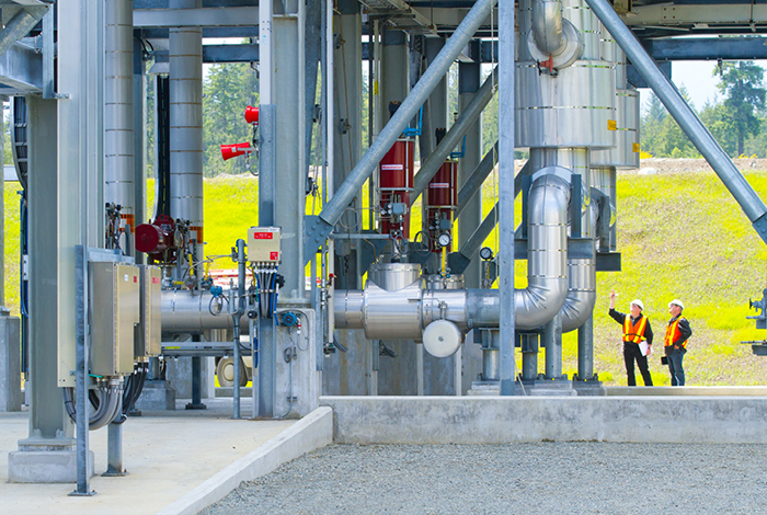 Renewable and Low-Carbon Gases | Clean50