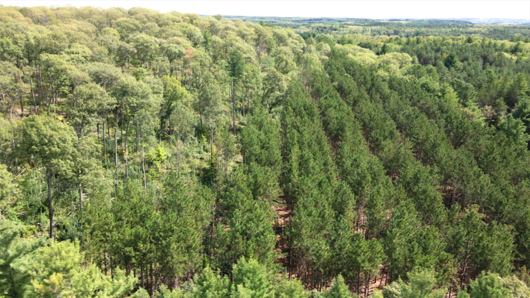 Natural Infrastructure for Climate Resilience | Clean50