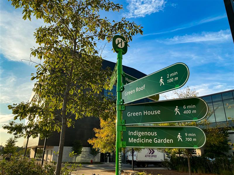 Sustainability and Inclusion: A Journey of Transformation | Clean50