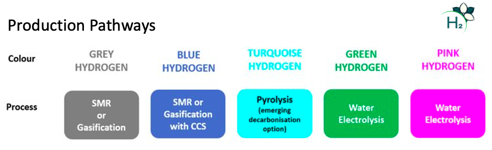 Decoding the Hydrogen Rainbow | Clean50