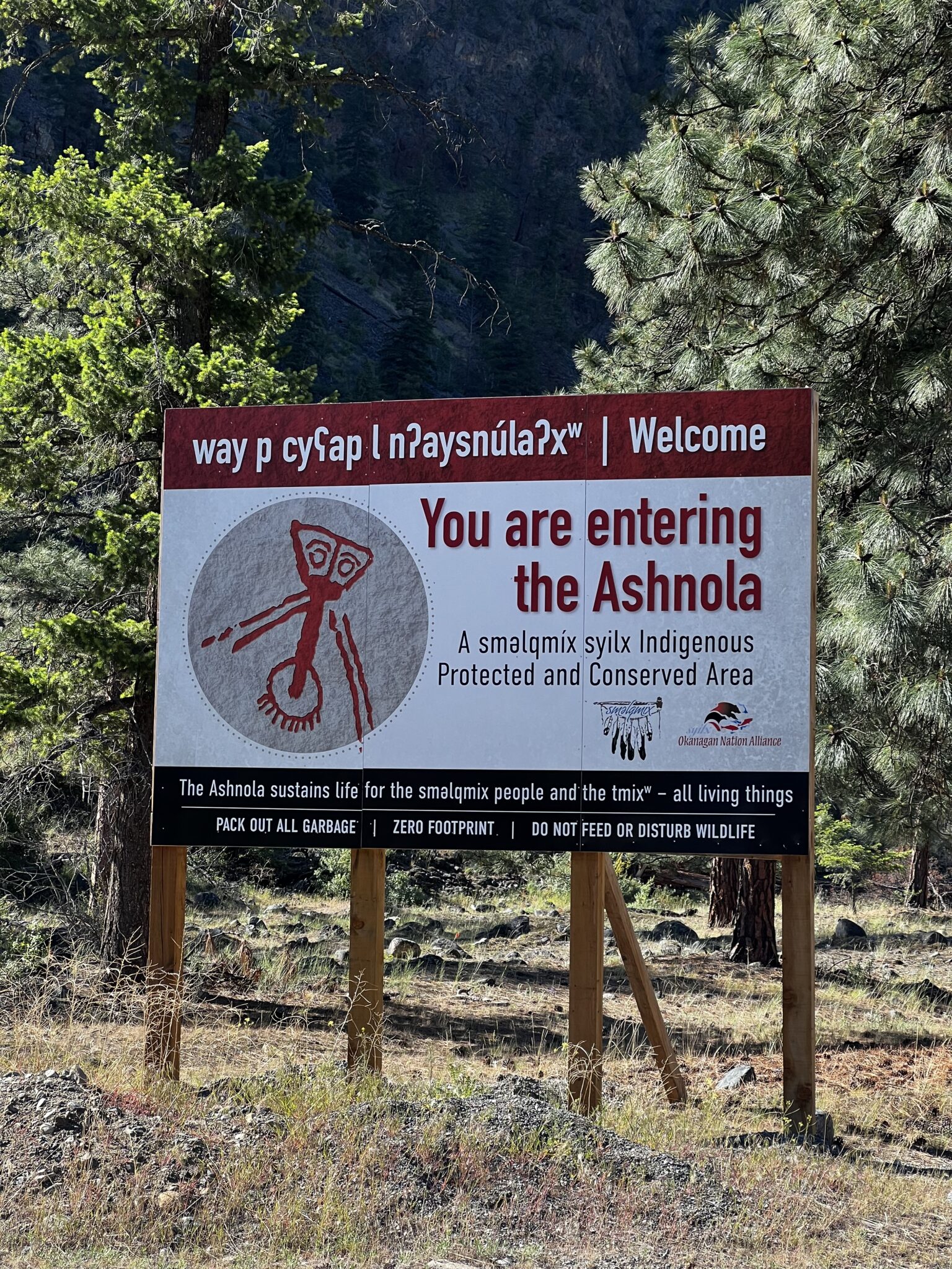 Ashnola Watershed Wildfire Reforestation | Clean50