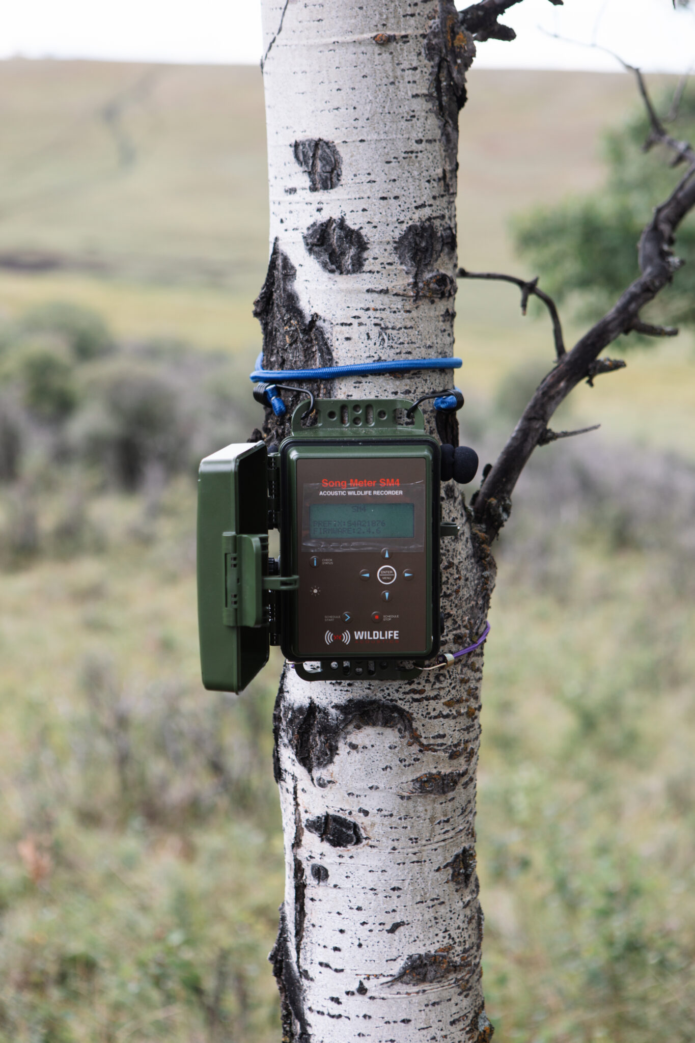 Smart Forest Reforestation | Clean50