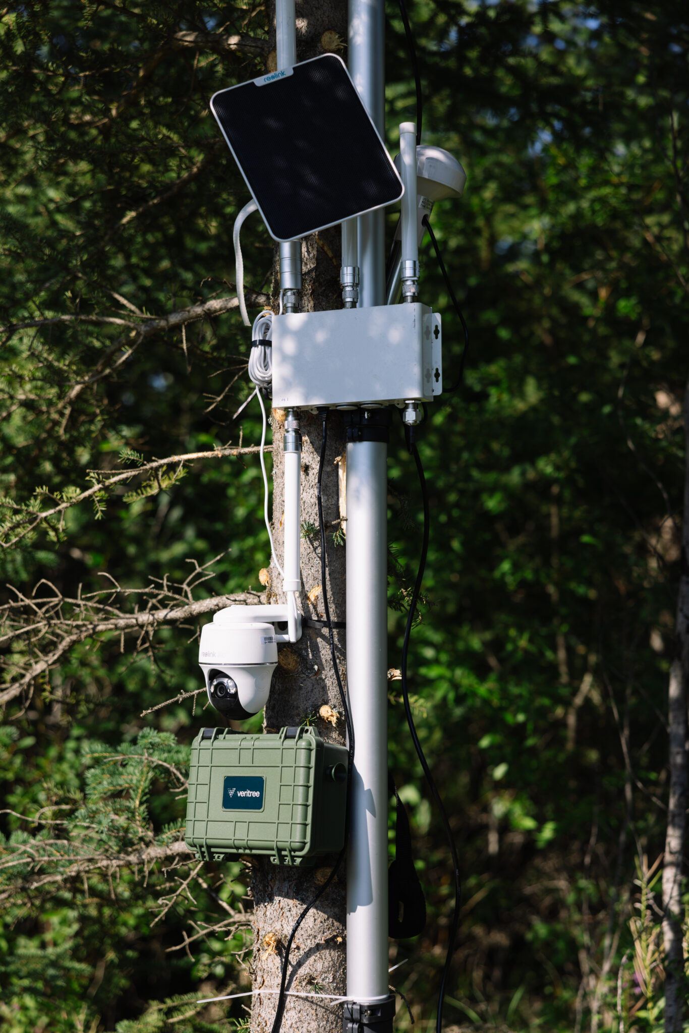 Smart Forest Reforestation | Clean50